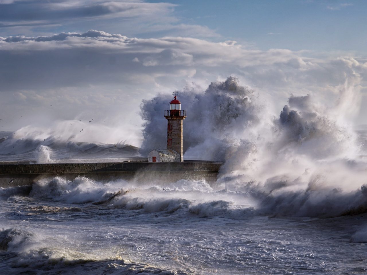 Treaty Transformation - Pool Reinsurance